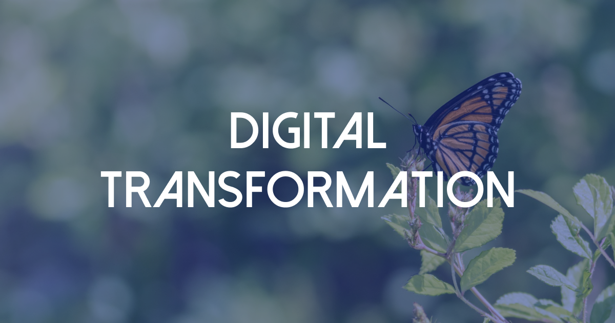 Your Digital Transformation Partner - Rigved Infotech Pvt Ltd