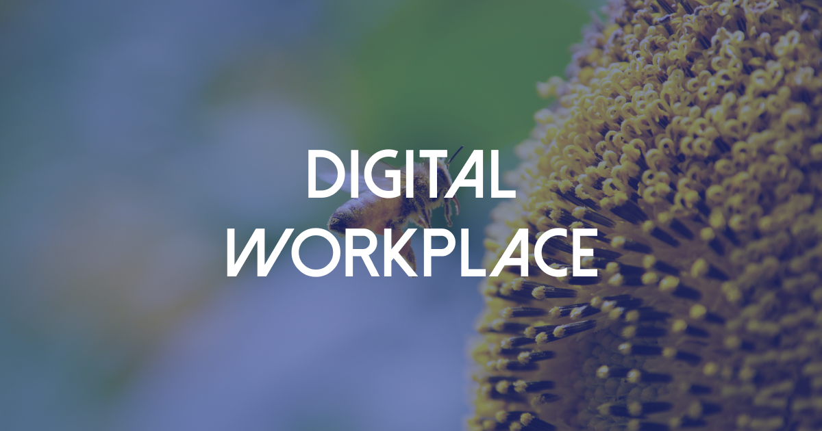 Empower Your Workforce with Digital Workplace Solutions | Rigved ...